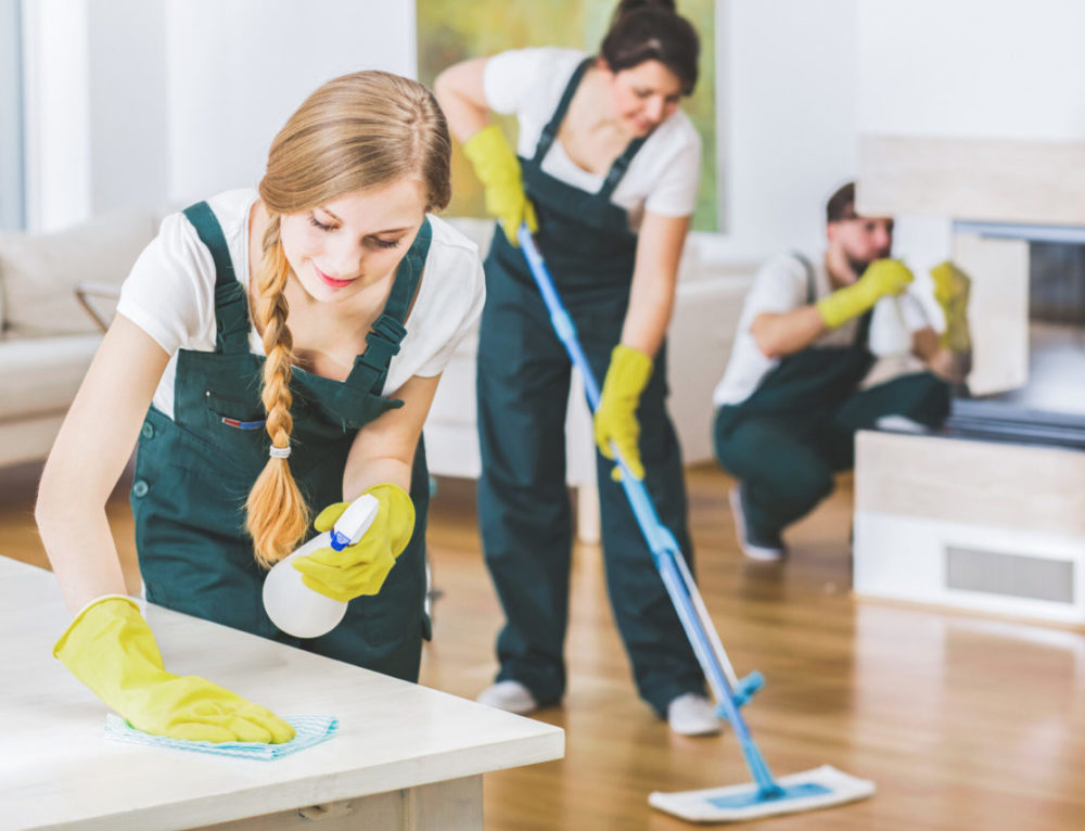 Why Should You Choose Lemon Blossom Cleaning Services?