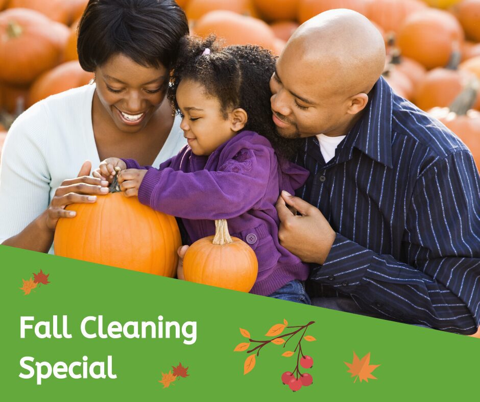 House Cleaning Services McKinney, TX | Lemon Blossom Cleaning Services ...